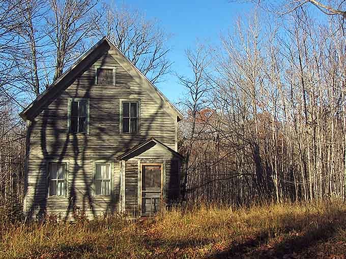 This weathered sentinel stands guard over memories, its windows like hollow eyes watching the forest reclaim what was once home.