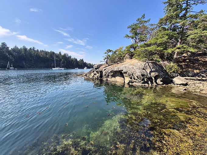 Dense forests meet pristine waters where nature still runs the show and cell service wisely stays away.
