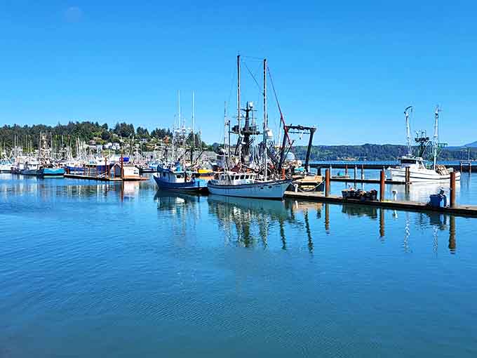These colorful fishing boats reflect perfectly in the marina, creating a scene so peaceful it should be prescription-only.
