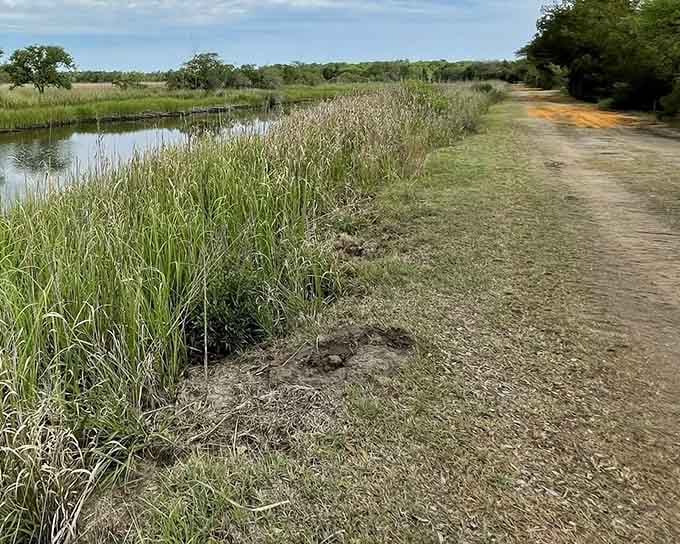 Where wetlands meet wanderlust, and the view doesn't require a filter to look this good.