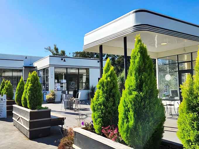 Those evergreens aren't just for show; they're screening Oregon's most delightful caffeinated secret from passersby.