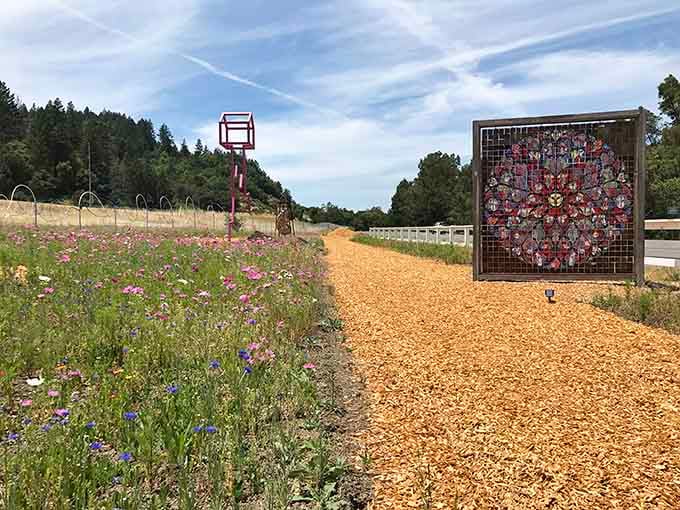 Where wildflowers meet modern art, this trail proves California knows how to blend nature with creative genius beautifully.