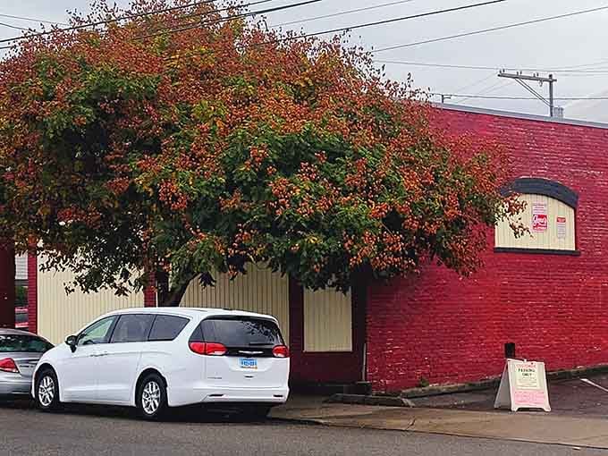 That red brick exterior hides literary treasures the way Clark Kent's glasses hide Superman's identity.