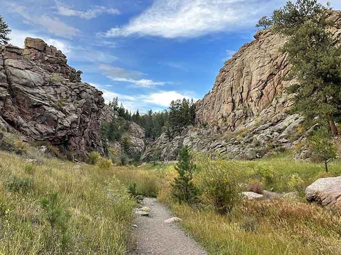 The path winds between towering stone guardians, leading you deeper into a landscape that feels untouched by time.