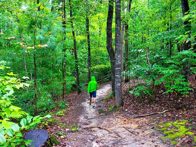 The forest path beckons like an invitation to leave your worries at the trailhead and just breathe.