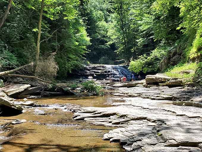 Ancient rock layers tell stories older than your family tree, while that waterfall provides the perfect soundtrack to contemplation.