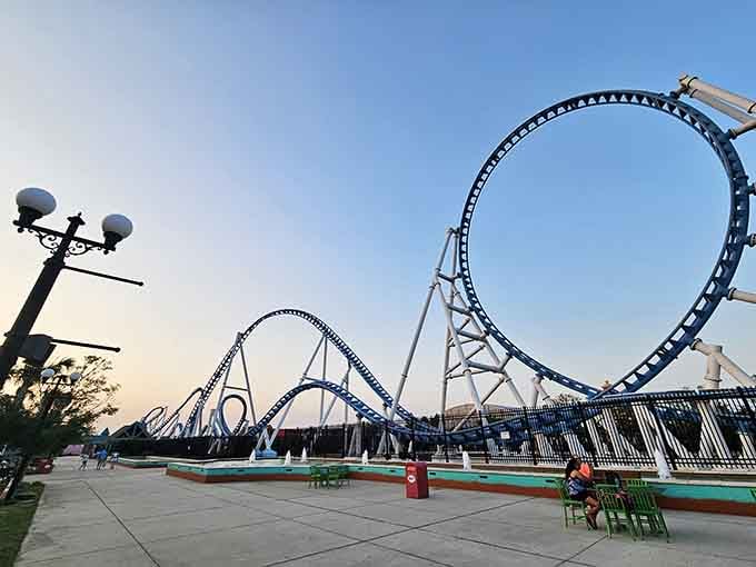 That loop isn't just for show&mdash;it's where you'll discover exactly what your breakfast tastes like on the way back up.