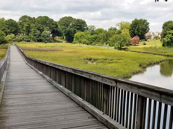That boardwalk curves through the marshland like nature's own red carpet, minus the paparazzi and uncomfortable shoes.