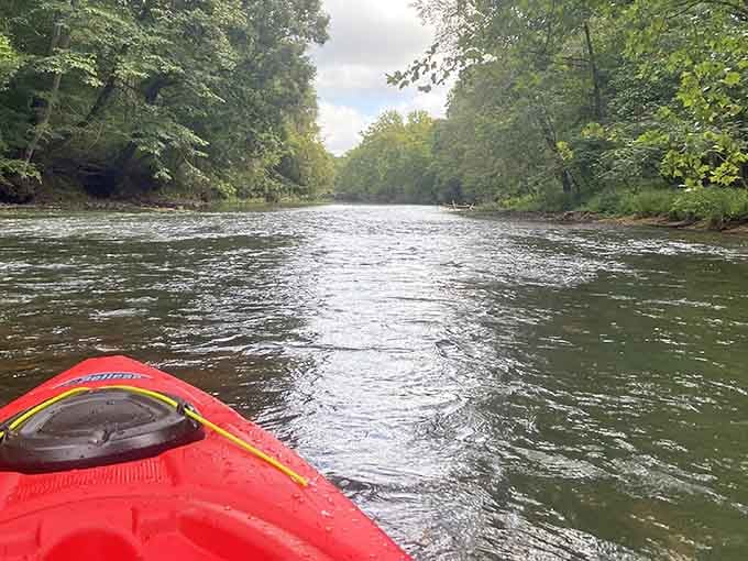 That red kayak nose isn't just leading the way, it's pointing toward your next great Alabama adventure.