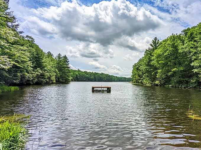 That floating dock knows what's up, claiming the best seat in the house for pond-watching duties.