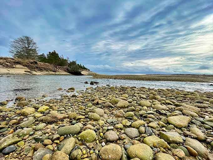 Nature's own mosaic stretches before you, where moss-covered stones create a tapestry more beautiful than any museum floor.