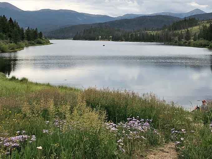 Wildflowers bloom in the foreground of this serene lake, which reflects the surrounding evergreen forests and rolling mountain peaks.