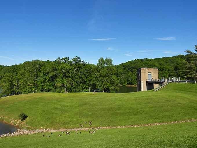 That emerald lawn rolling toward dense forest feels like nature's welcome mat to your next great adventure.