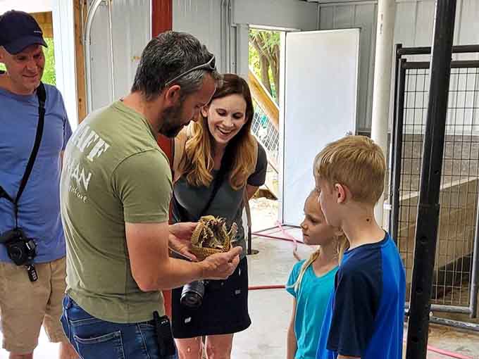 When holding a tortoise beats any toy store purchase, childhood memories are being properly manufactured.