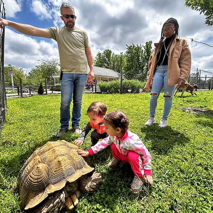Kids meeting a giant tortoise, creating memories that'll outlast any video game or smartphone obsession.