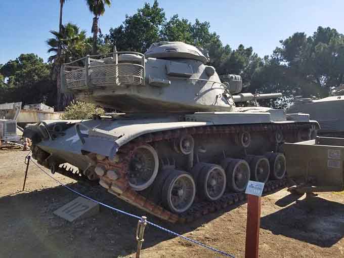 The M60A1 Patton tank sits majestically among palm trees, an unlikely pairing that somehow works perfectly here.