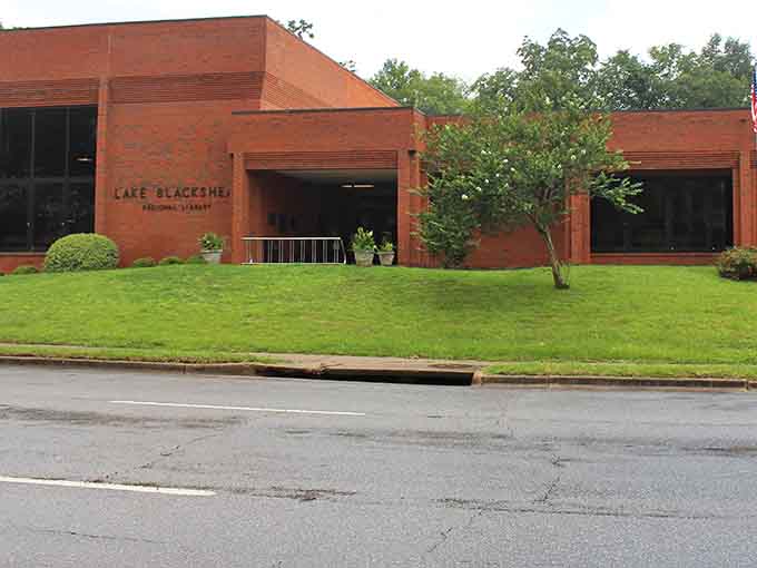 The Lake Blackshear Regional Library proves that free entertainment and air conditioning make a pretty unbeatable combination in Georgia summers.