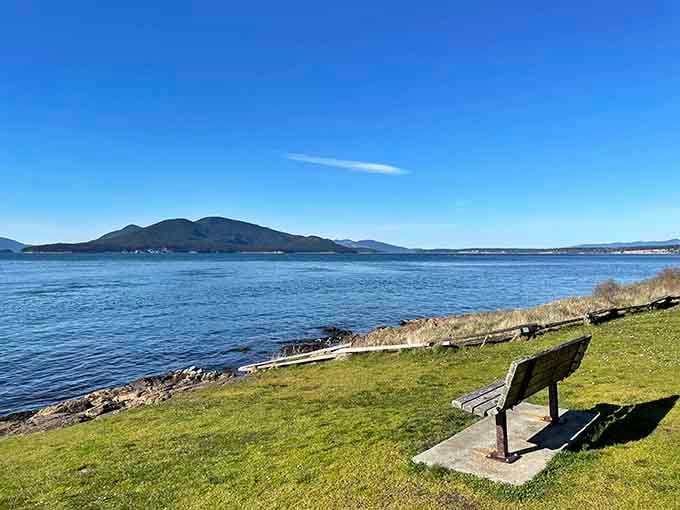 Waterfront paths with mountain views remind you why people fight traffic to live in the Pacific Northwest.