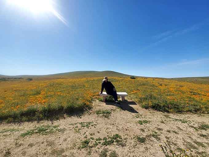Sometimes you just need to sit and soak in the view, letting the flower-covered hills work their magic.