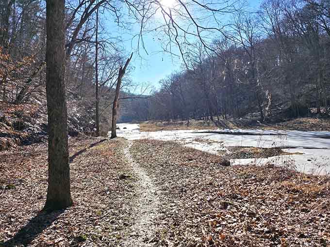 Winter reveals the canyon's bones, a stark beauty that rewards those brave enough to bundle up.