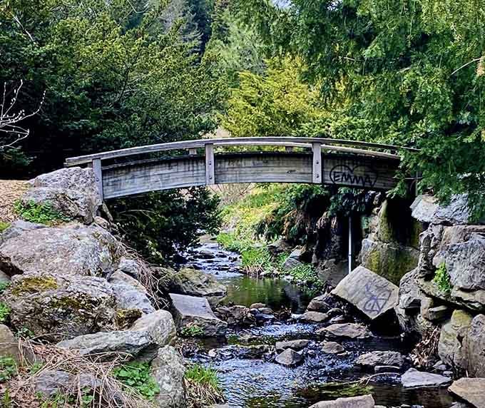 A charming footbridge spans the brook, perfect for channeling your inner Monet without the painting skills required.