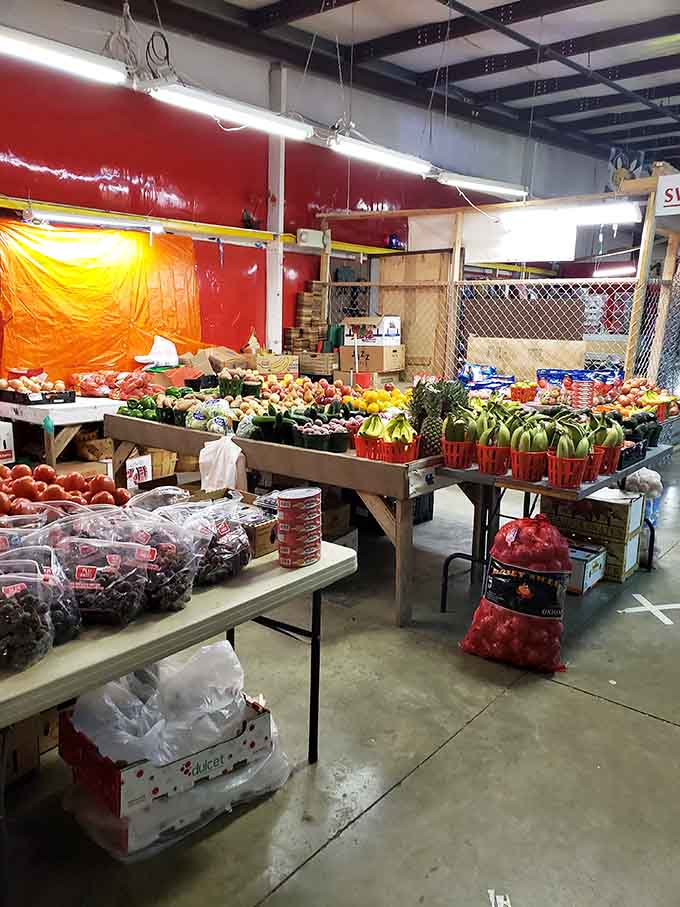 Fresh produce brightens the indoor space, because even treasure hunters need their fruits and vegetables for energy.