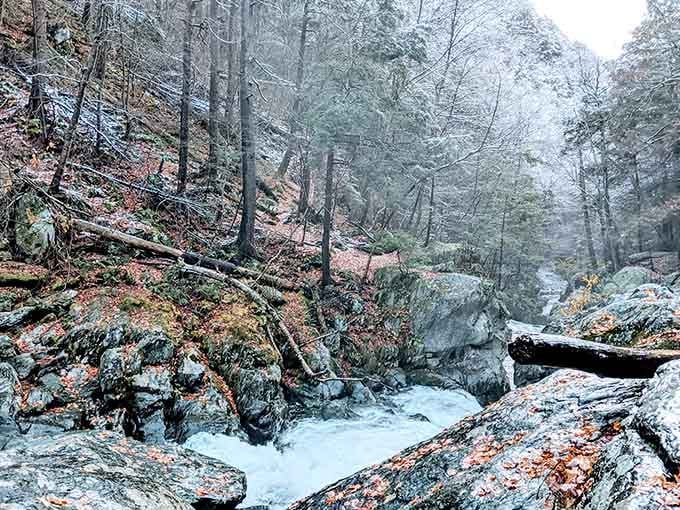 Winter paints the landscape in hushed tones, turning familiar trails into a frozen wonderland worth bundling up for.