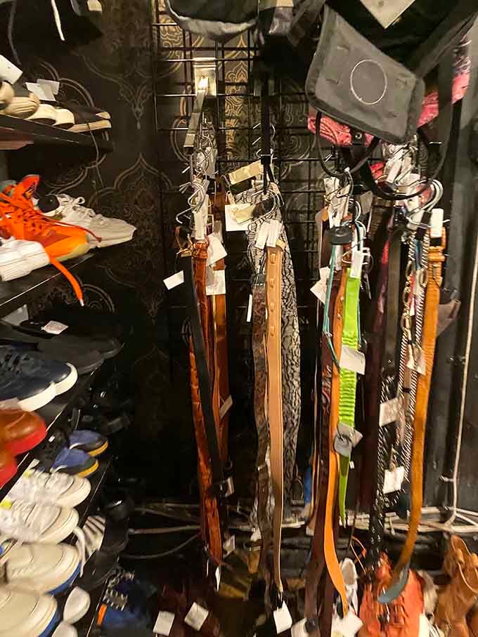 Belts organized by the rainbow, because even your waist accessories deserve to be color-coordinated and fabulous.