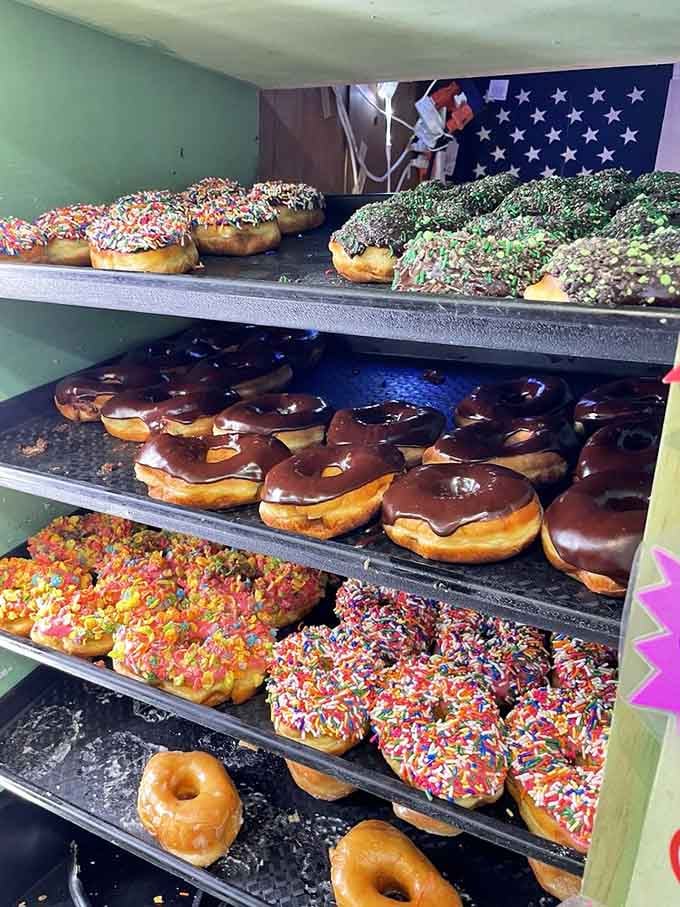 Donuts lined up like edible rainbows, because apparently sandwiches alone weren't enough temptation for one day.