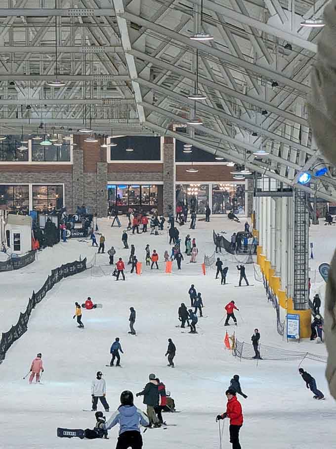 Snow boards add another dimension to the indoor winter experience, because regular skiing wasn't quite enough variety apparently.