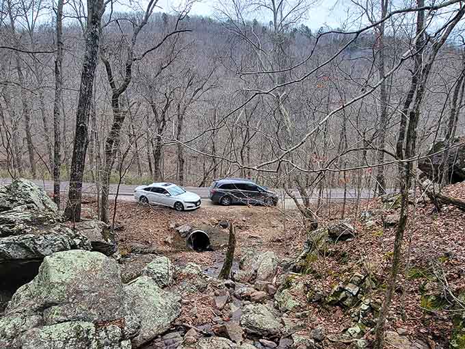 The winding road through bare winter trees promises the kind of scenic drive that makes the destination even sweeter.
