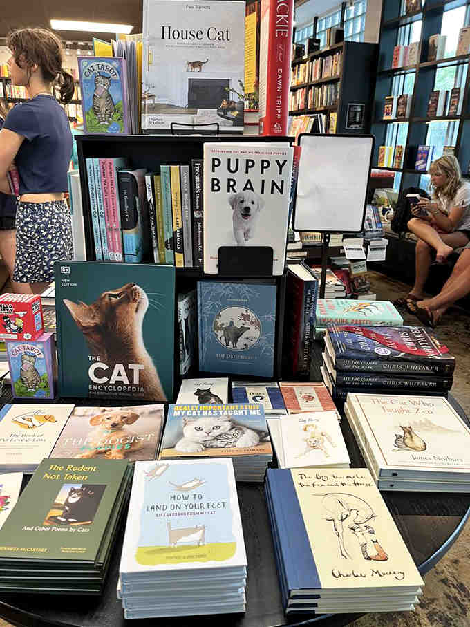Pet lovers rejoice at displays featuring books about our furry friends, because who doesn't love a good animal story?