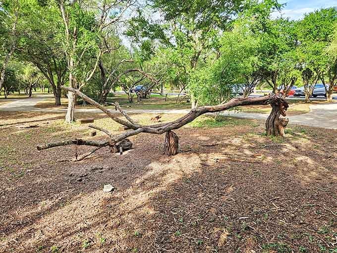 Resaca De La Palma State Park brings wilderness adventures right to your surprisingly affordable doorstep.