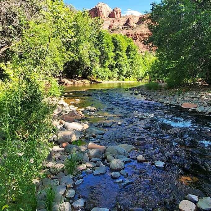 Cathedral Rock rises majestically beyond the gentle stream, framing a view that belongs on every Arizona bucket list imaginable.