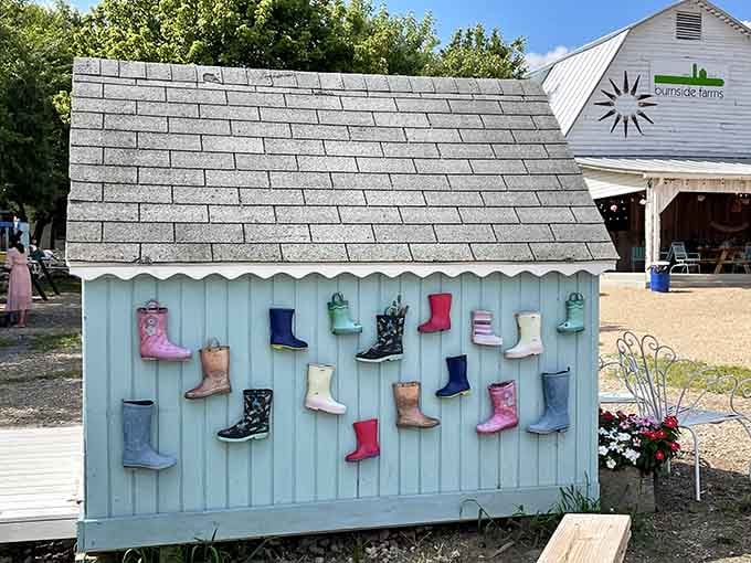 This boot collection has more personality than most people's entire shoe closets, and that's saying something right there.