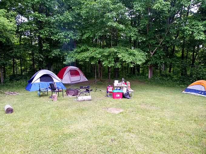 Tents pitched on spacious grass create the perfect basecamp for s'mores, stories, and serious stargazing tonight.