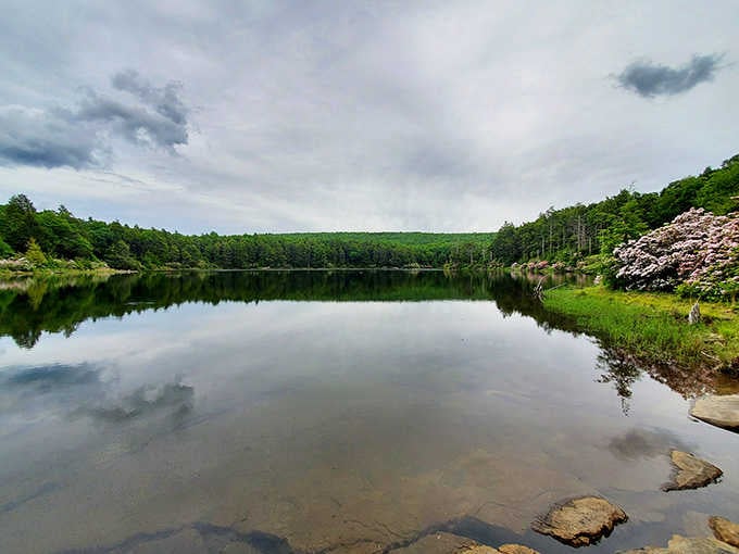 This mirror-smooth pond reflects the sky above, creating a scene so peaceful it practically demands contemplation.