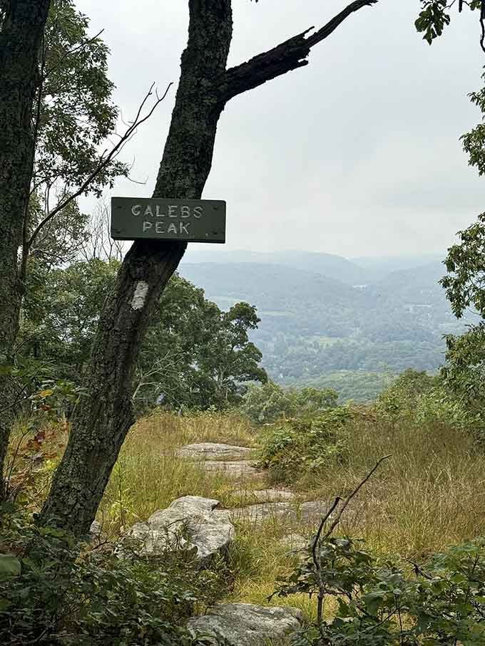 The summit sign marks your achievement, though your burning quads already confirmed you've reached the top.
