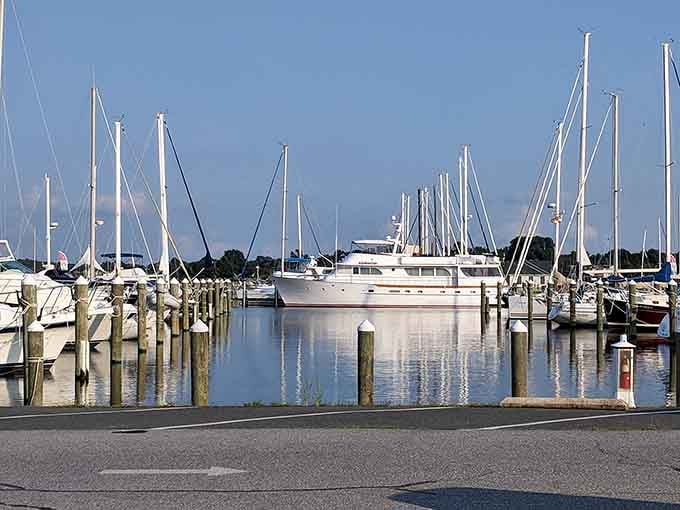Marina life where boats outnumber parking meters and nobody's complaining about the ratio at all.