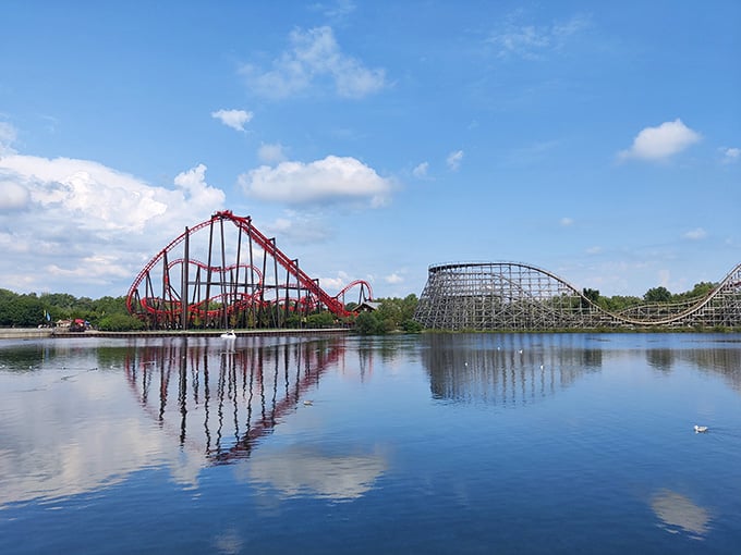 Coasters reflecting in the lake create that postcard-perfect moment, assuming you can stop moving long enough to appreciate it properly.