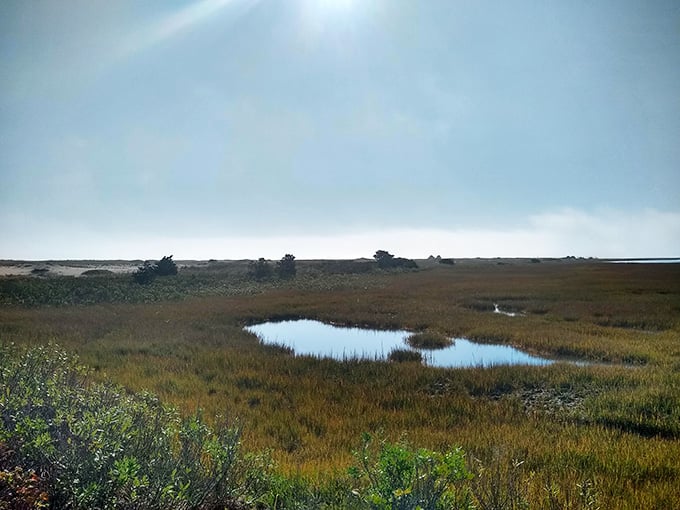 Salt marshes stretch beneath moody skies, creating mirror-like pools that reflect clouds in nature's own contemplative meditation space.