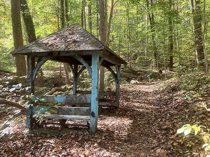Trail shelters offer rest stops for weary hikers, providing shade and benches for those much-needed water breaks.