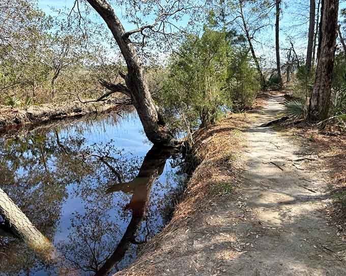 This winding dirt path alongside dark water channels looks mysterious and inviting, like a choose-your-own-adventure book come to life.