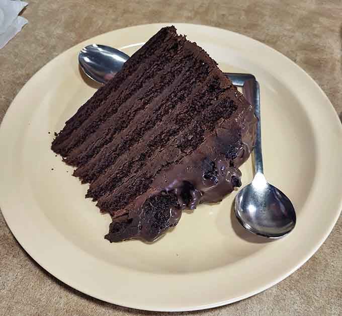 Three layers of chocolate cake that could make a grown person reconsider every life choice leading to this moment.