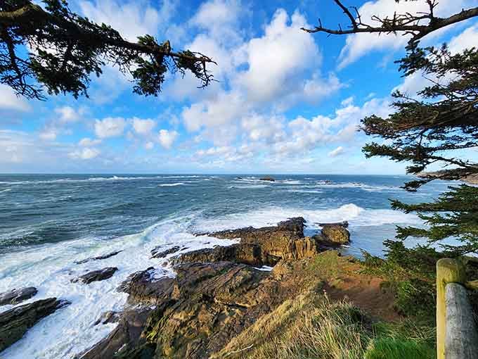 Cape Arago's rugged coastline reminds you why Oregon's coast beats any screensaver you've ever downloaded.