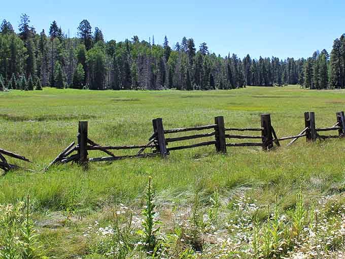 Wide open meadows where the grass grows tall and the sky stretches on forever and ever.