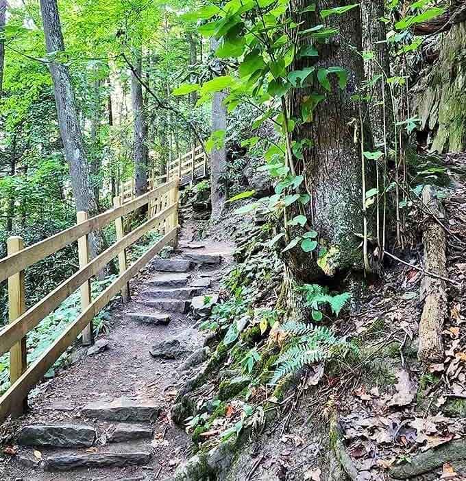 Stone steps and wooden railings make this adventure accessible without requiring mountaineering certification or youth.