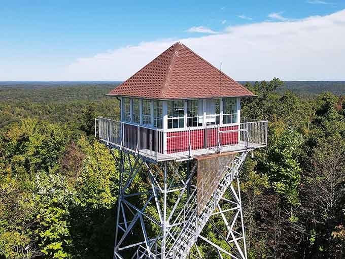 The vintage fire tower stands sentinel above the treetops, offering views that make climbing all those stairs absolutely worth the effort.