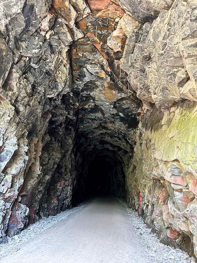Rust, copper, and charcoal layers tell stories that predate any human history in these parts.