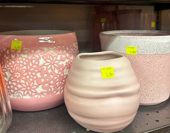 Decorative planters that look expensive but cost what you'd spend on a single houseplant elsewhere.